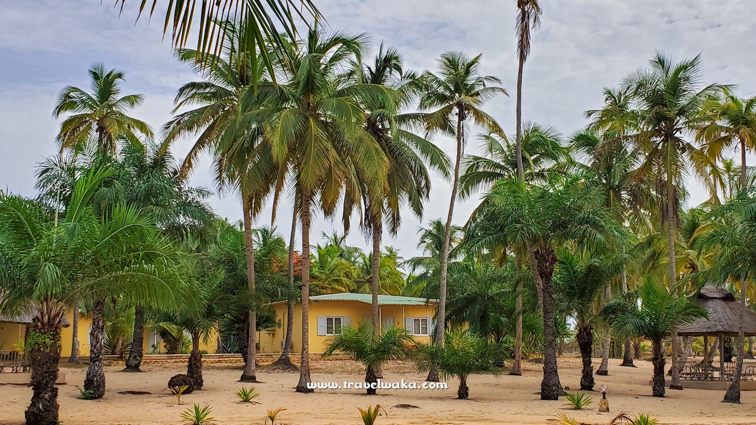 List of Adventurous Things to Do in Benin Republic – TravelWaka